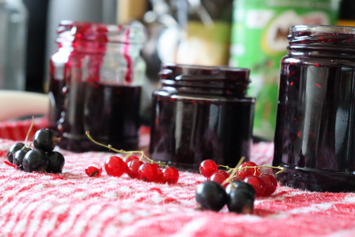 Forest fruit jam – Tales of a Tassie Chef